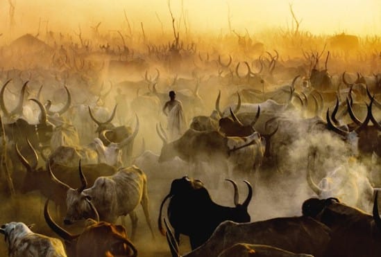 Nude Photographs of the Dinka: Art or Exploitation?