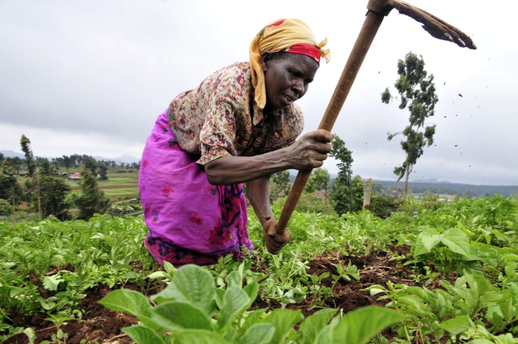 African Economies Look Promising Despite Setbacks