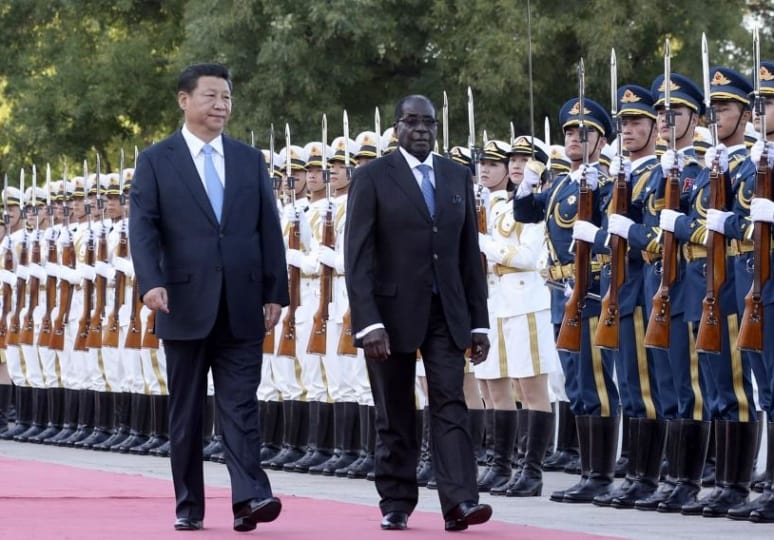 Zimbabwe Protest Leader Released on Bail