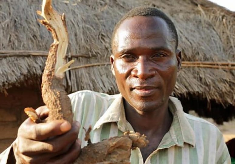 HIV-Positive Malawian Man Found Guilty of 'Sexual Cleansing'