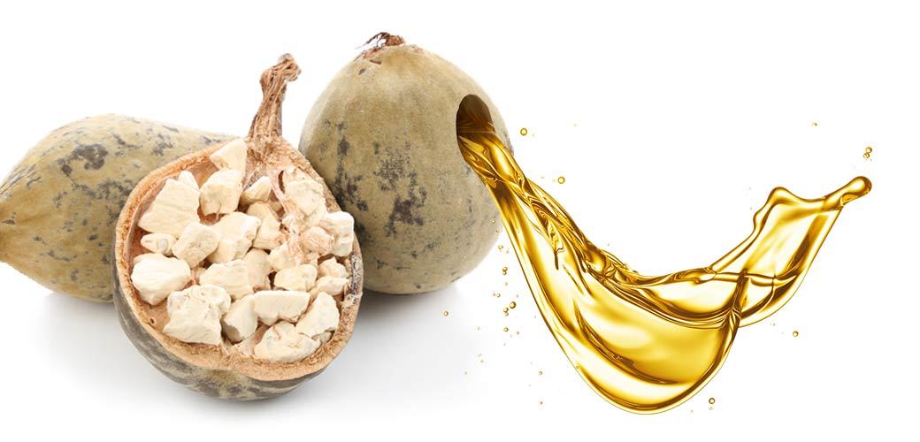 Baobab, Africa's best kept health and beauty secret - Face2Face Africa