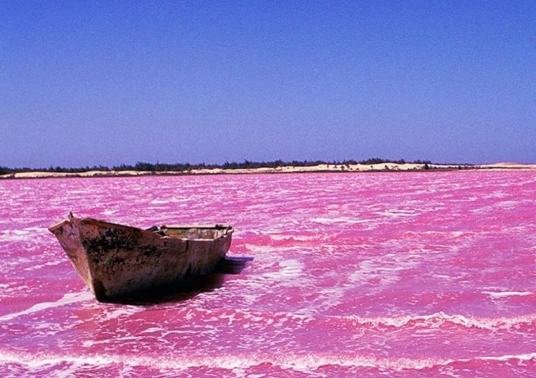 The mystery behind Lake Retba, the only pink lake in Africa [Photos ...