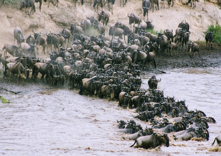 African countries are fighting each other over these vital natural ...