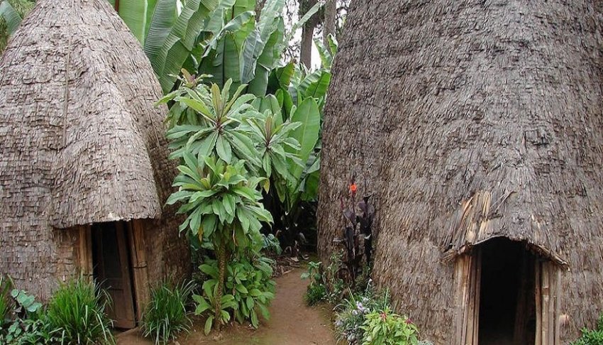 Here is proof that the ancient Punt Civilization really existed and is ...