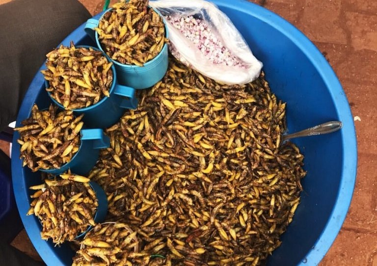 This Nigerian visual artist gets her works auctioned for 3.4 million ...