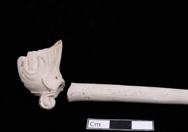 Scientists trace DNA from a 200-yr-old pipe found in Maryland