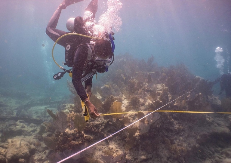 Meet the black scuba divers searching for slave shipwrecks unfairly ...