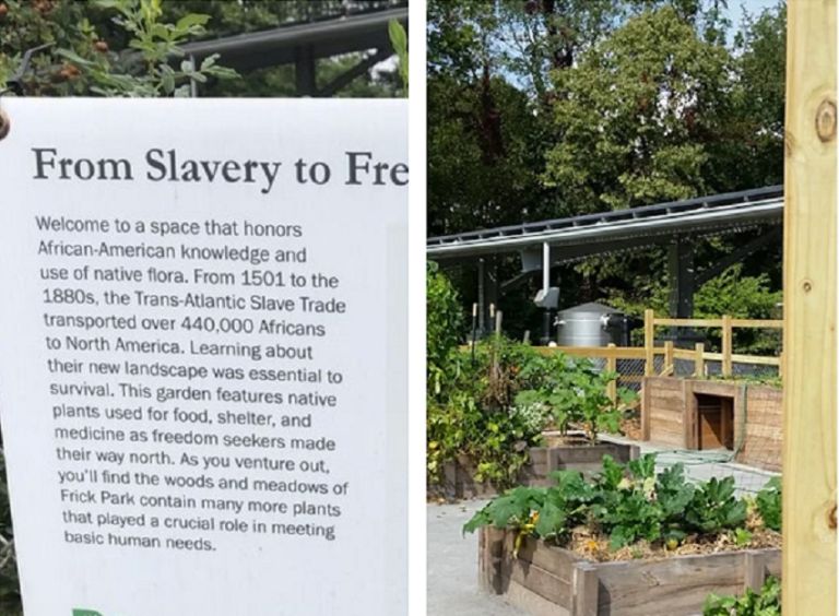 How Enslaved Africans in Alabama used Tree Bark as Shoes to Gain ...