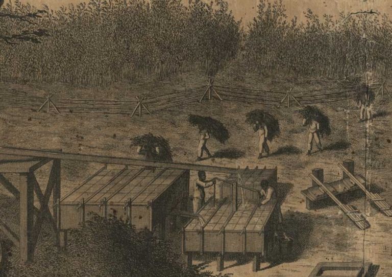 How the contributions of enslaved Africans led to the boom of the blue ...