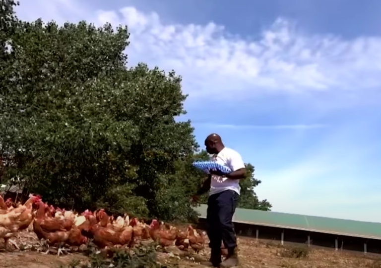 The Ghanaian professional boxer turned poultry farmer in UK - Face2Face ...