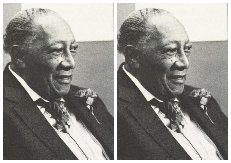 How photographer VanDerZee popularized shooting of passport photos to ...