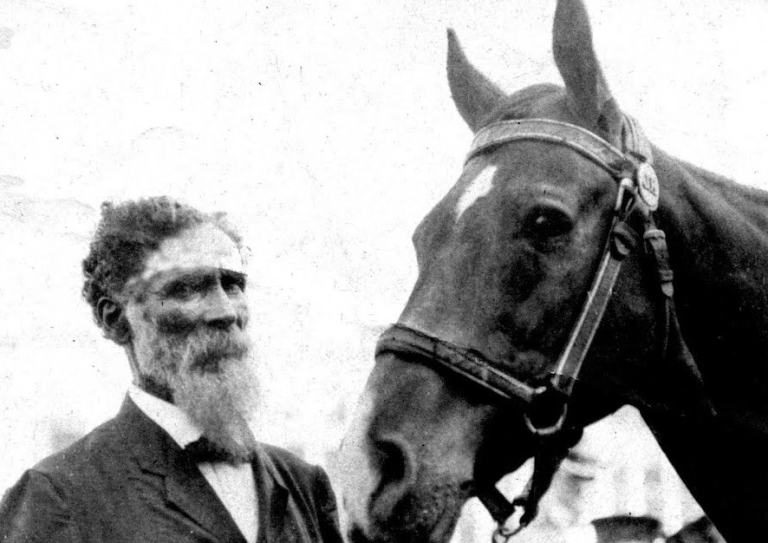 William Key: He Made Wealth From A Horse | Face2Face Africa