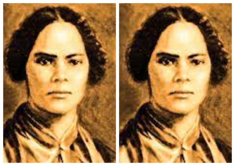 How Mary Ann Shadd used her law degree and newspaper to fight for women ...