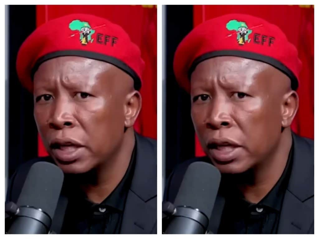 South Africa's Julius Malema vows to fight conviction after guilty ...