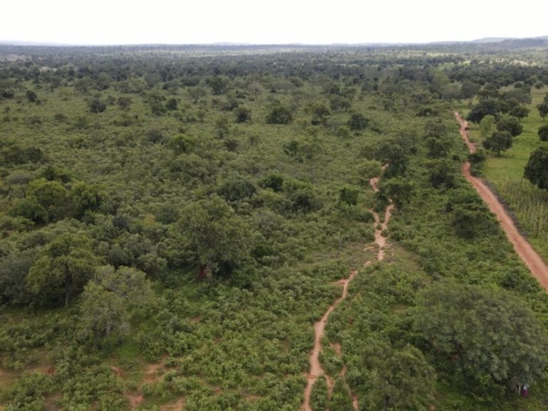 Al-Qaeda-linked group burns fuel trucks as it tightens blockade on Mali ...