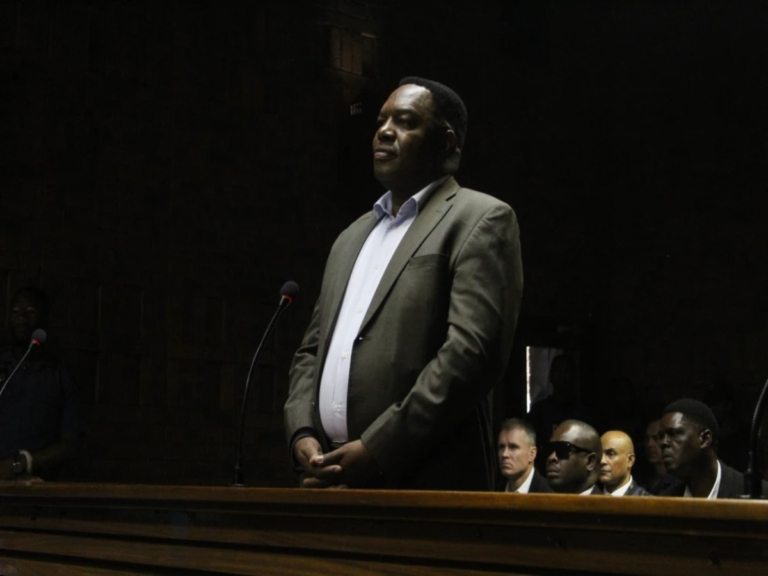 Fannie Masemola: South Africa’s police chief hauled to court over ...